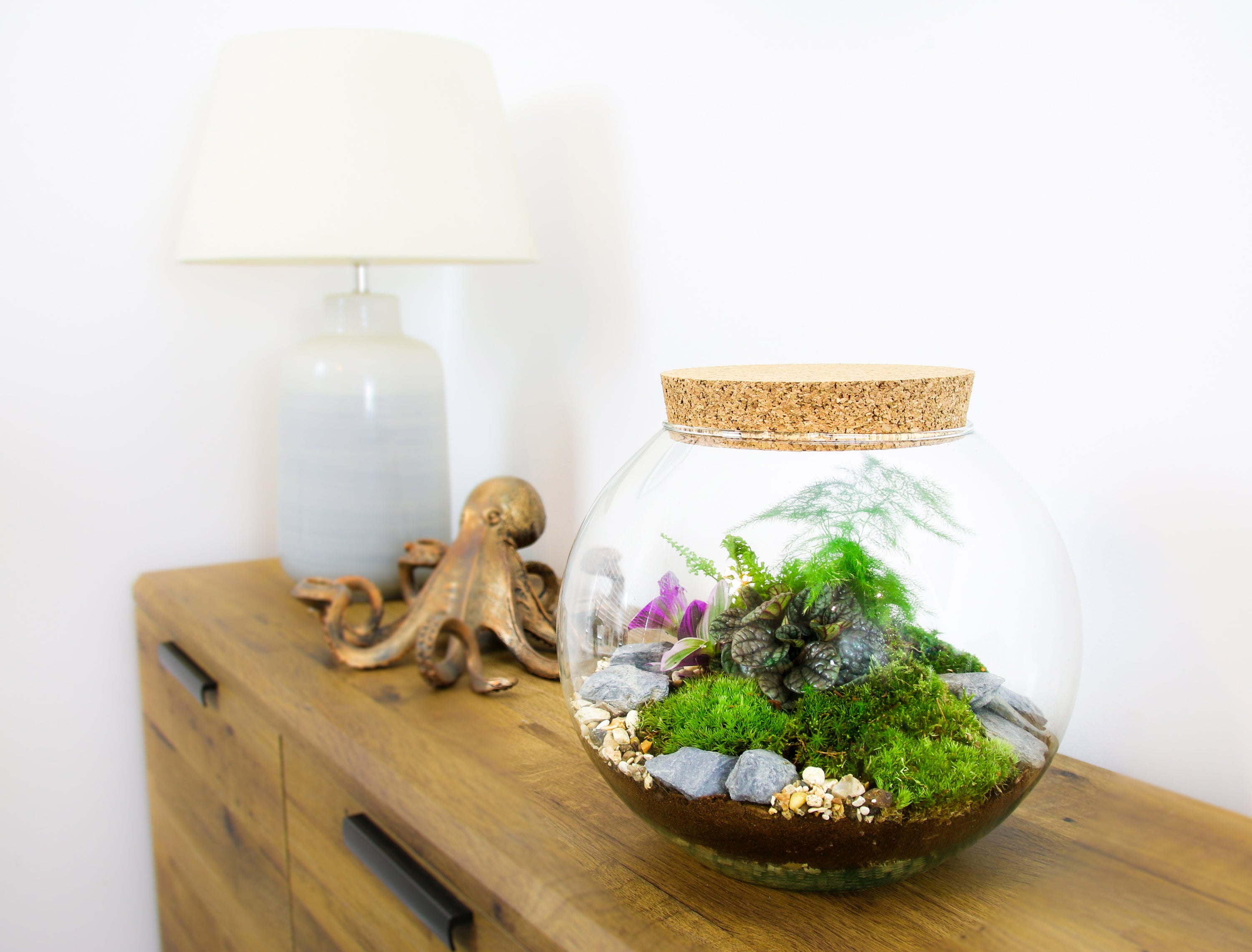 The Globe - Large Glass Ball Terrarium Kit. House plant gift ideas ...