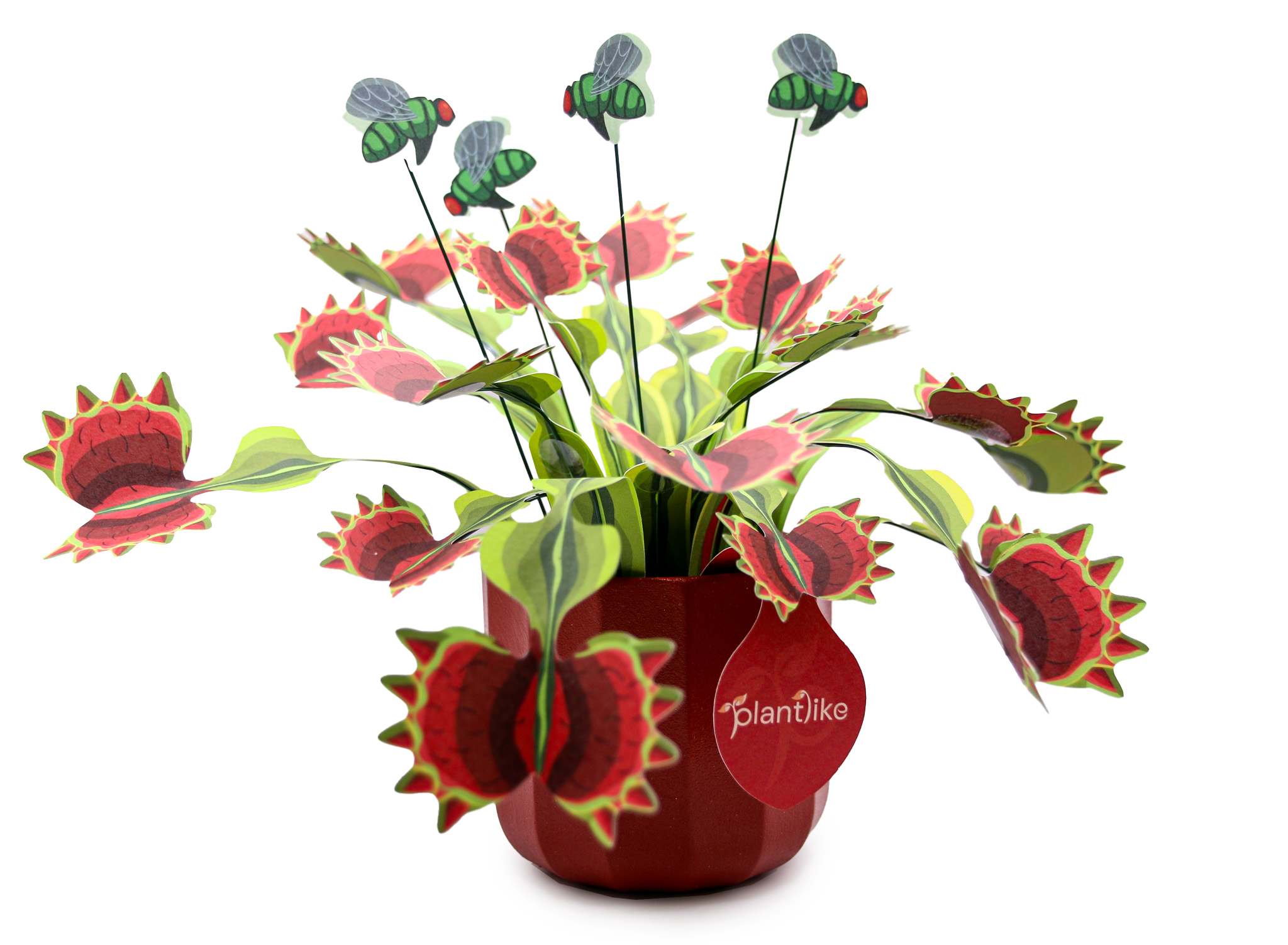 Paper Venus Flytrap Craft Kit | Personalised Birthday Gift for Him ...