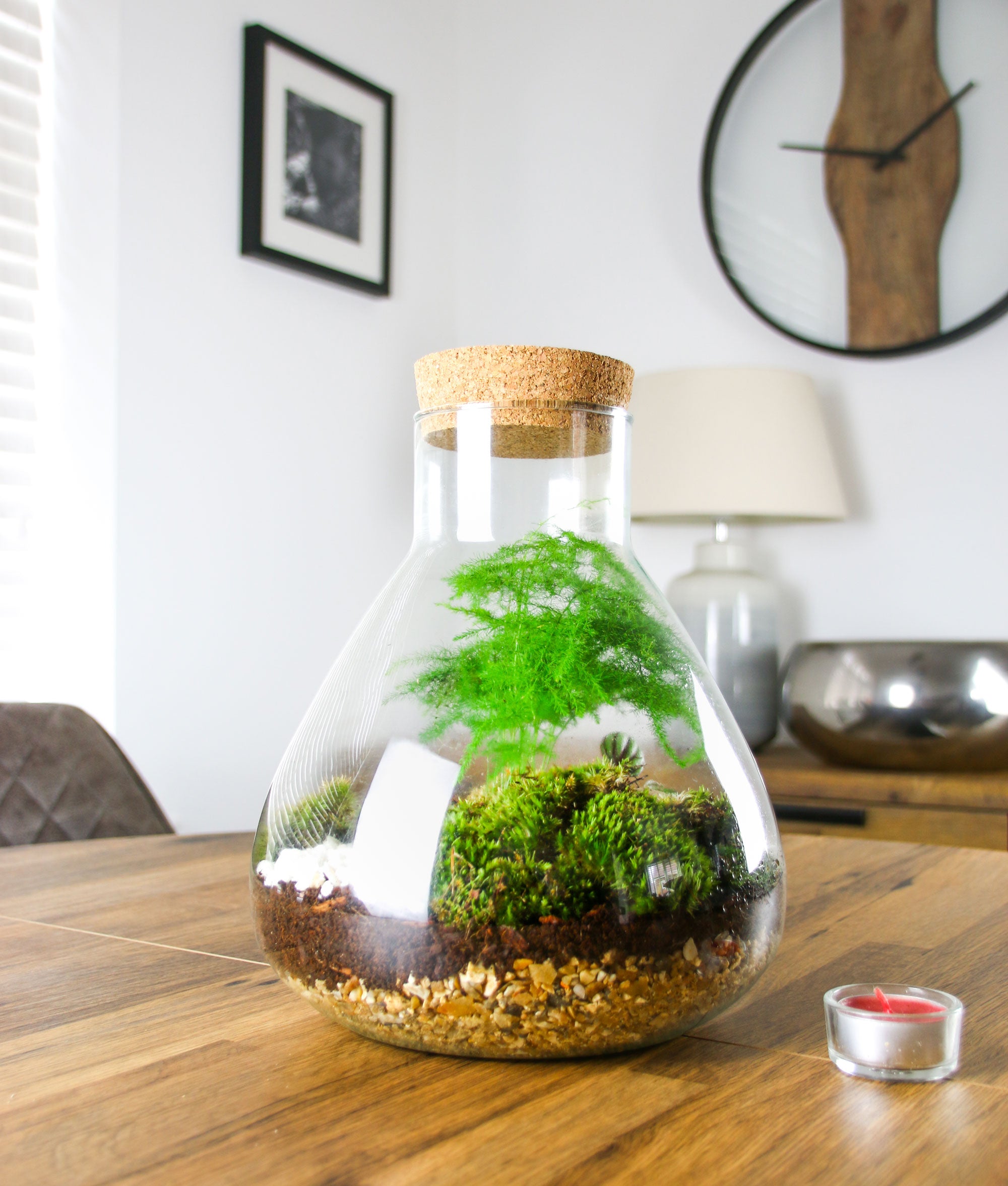 5L Medium Angular Glass Bottle Closed Terrarium Kit with Living Moss ...