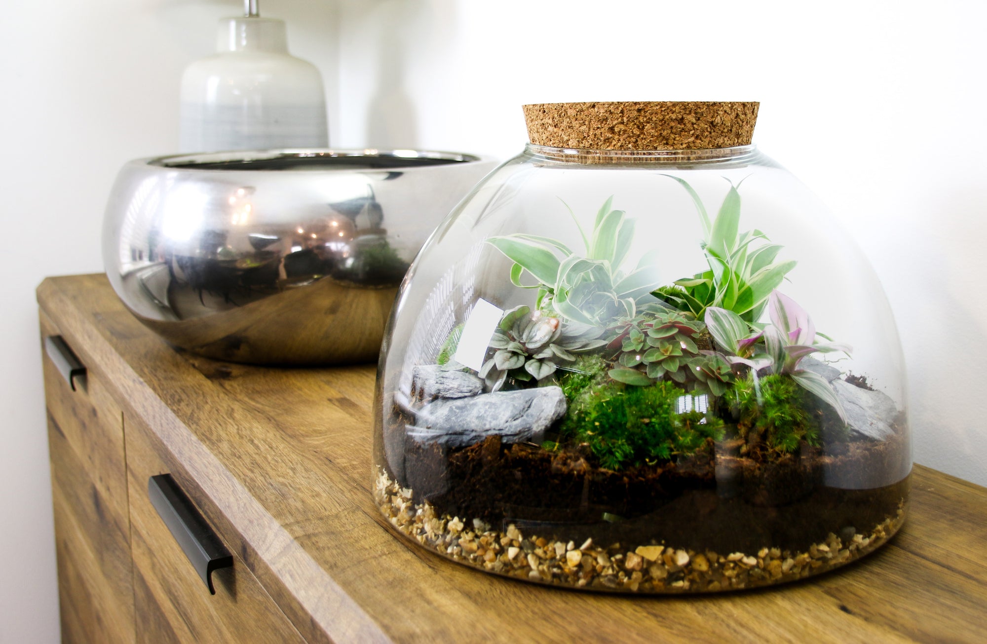 Large Glass Domed Terrarium with Cork Lid, Terrarium Kit with Plants ...