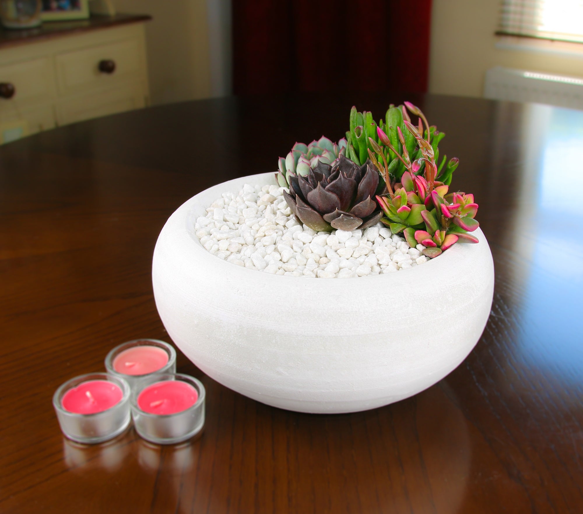Indoor Succulent Planter Kit in White Ceramic Bowl – The Art of Succulents