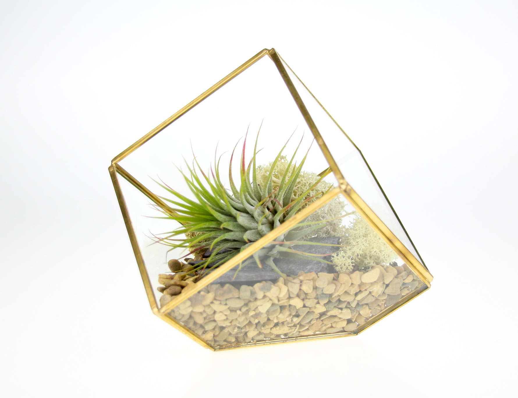Square Geometric Terrarium Kit with Tillandsia Air Plant – The Art of ...