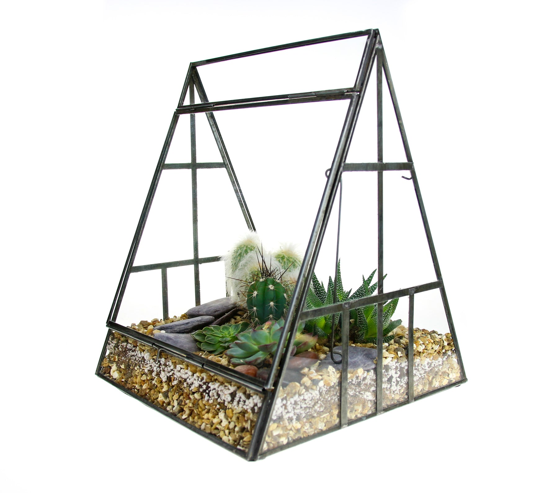 Large Pyramid Greenhouse Terrarium with Cactus and Succulent Mix, – The ...