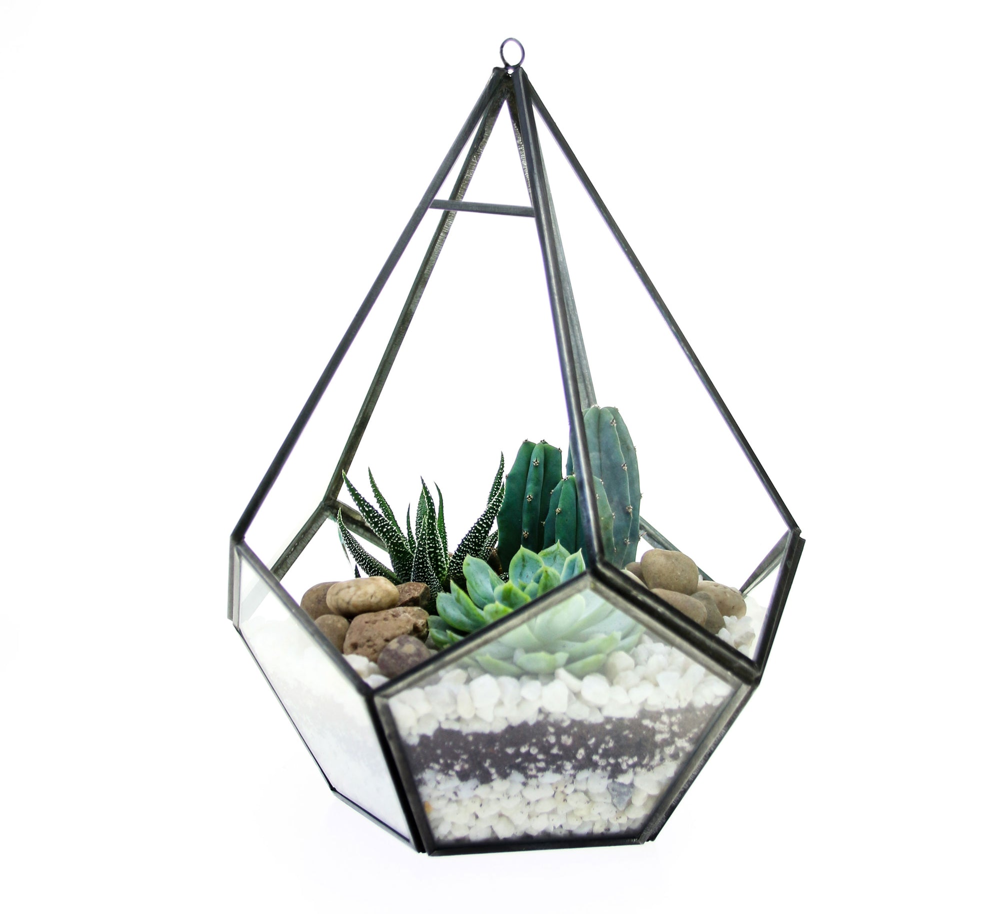 The Facet - Five Sided Diamond Terrarium - Small – The Art of Succulents