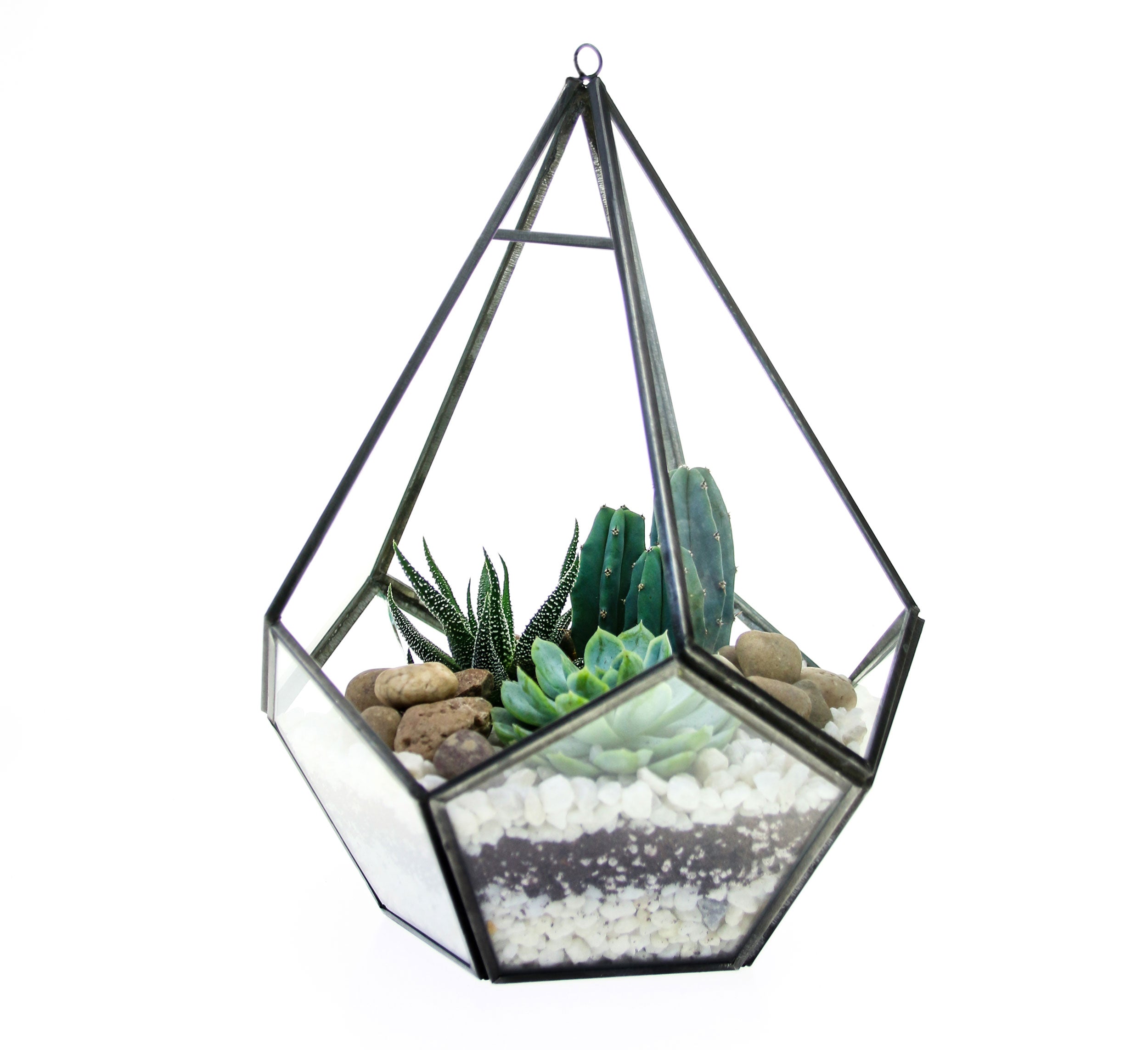 The Facet - Five Sided Diamond Terrarium - Small – The Art of Succulents