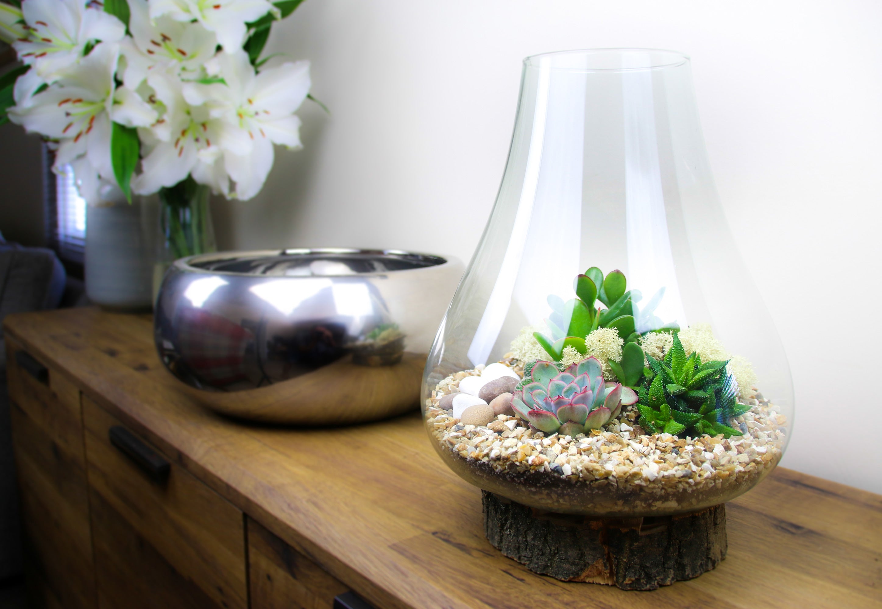 Curved Glass Terrarium on Real Wood Base - 2 Sizes Available – The Art ...
