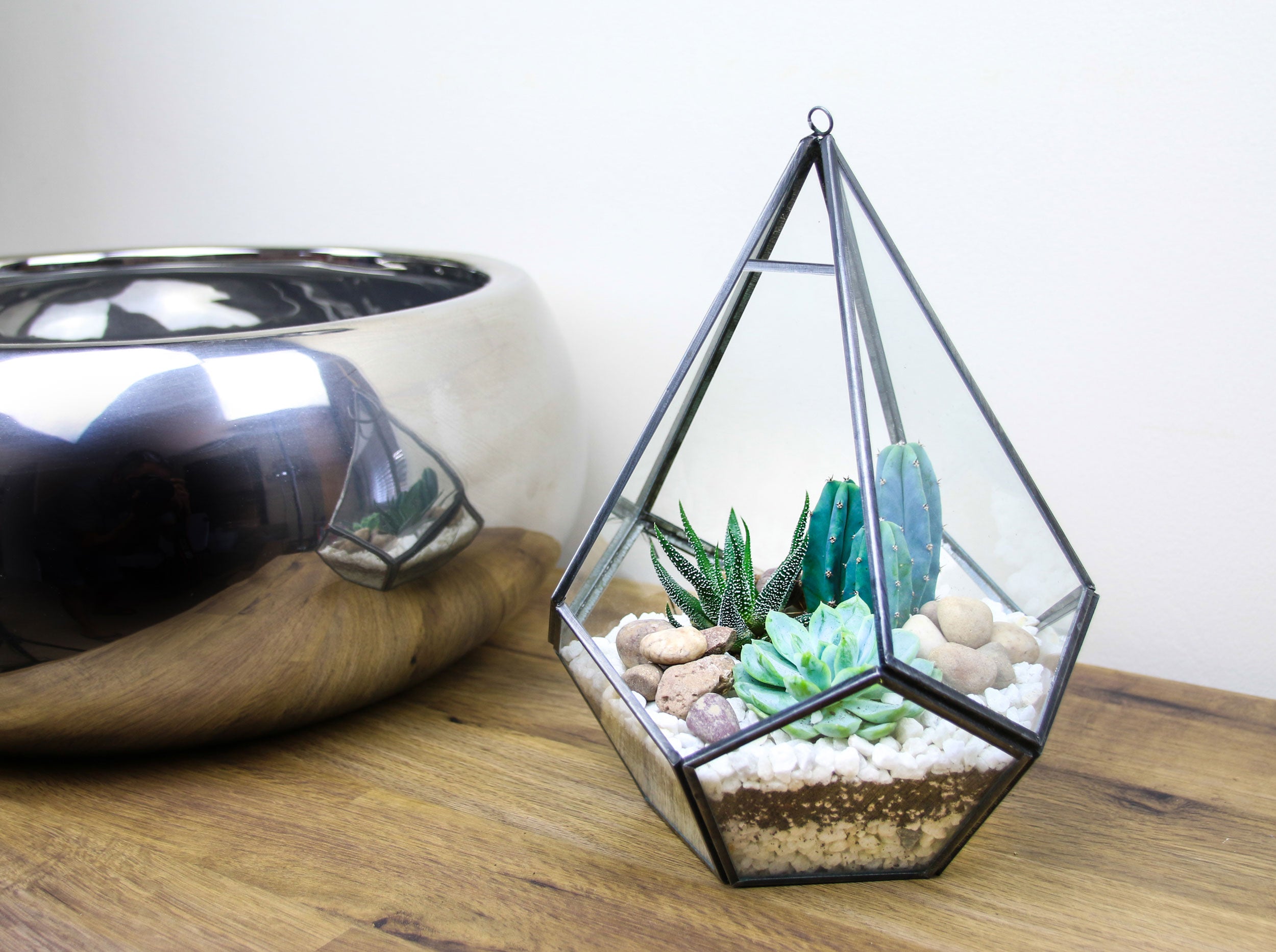 The Facet - Five Sided Diamond Terrarium - Small – The Art of Succulents