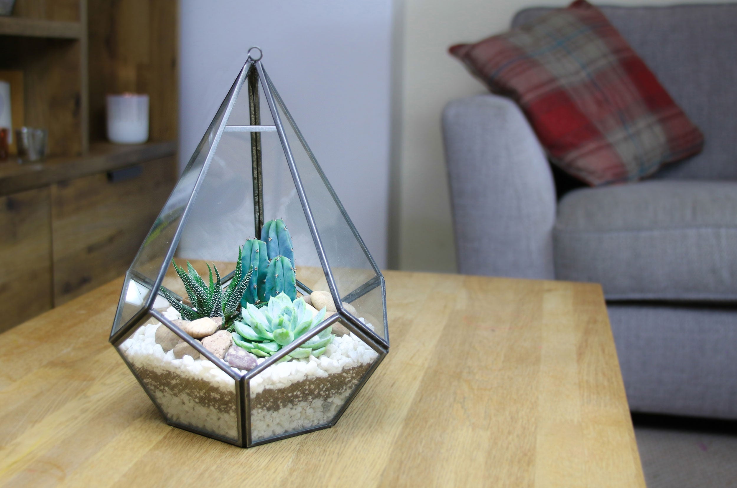 The Facet - Five Sided Diamond Terrarium - Small – The Art of Succulents