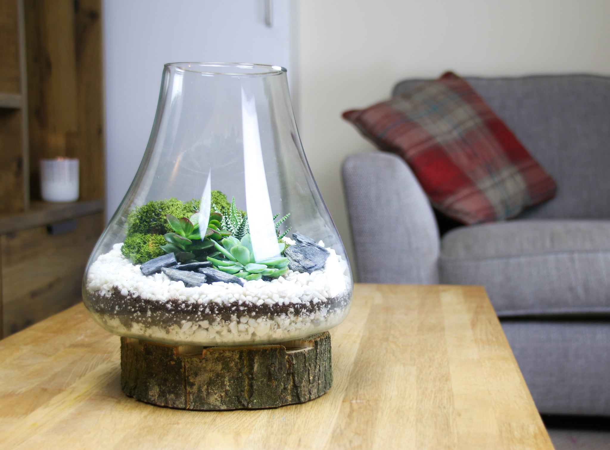 Curved Glass Terrarium on Real Wood Base - 2 Sizes Available – The Art ...