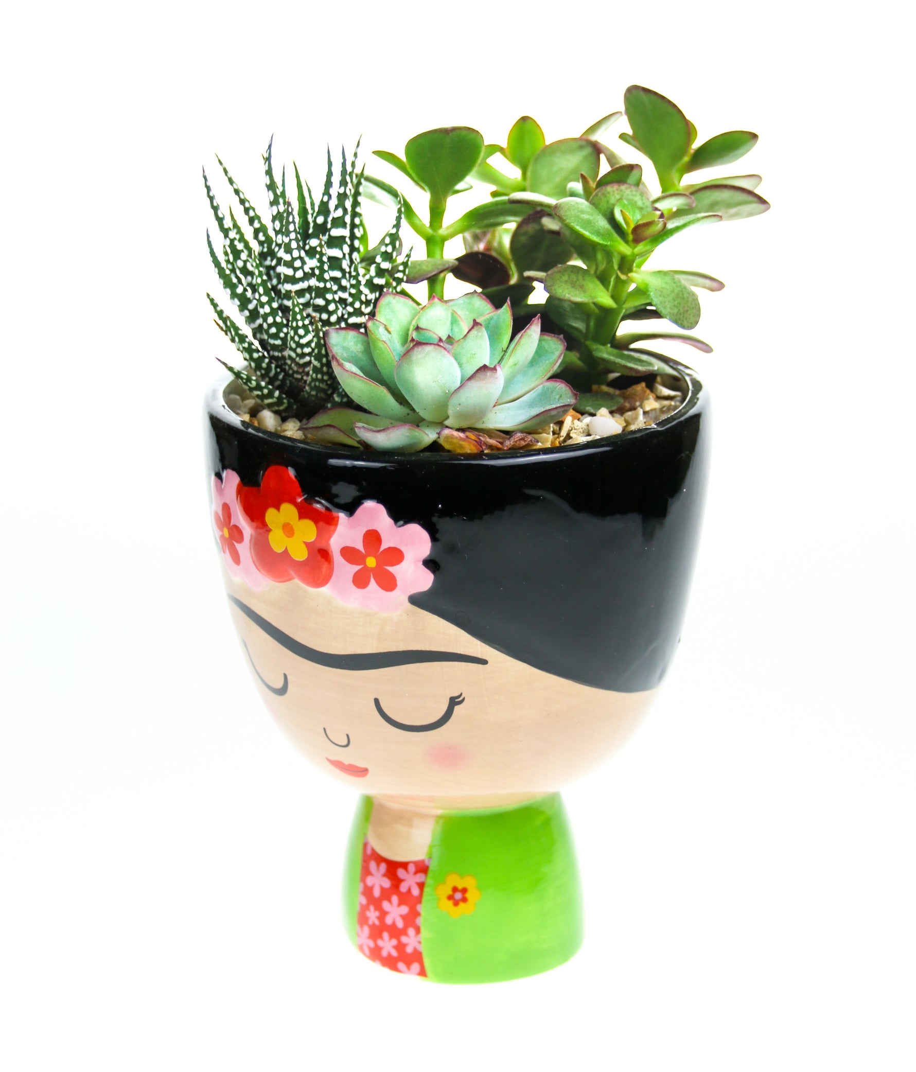 Frida Kahlo Inspired Indoor Planters with Living Succulents, Birthday ...