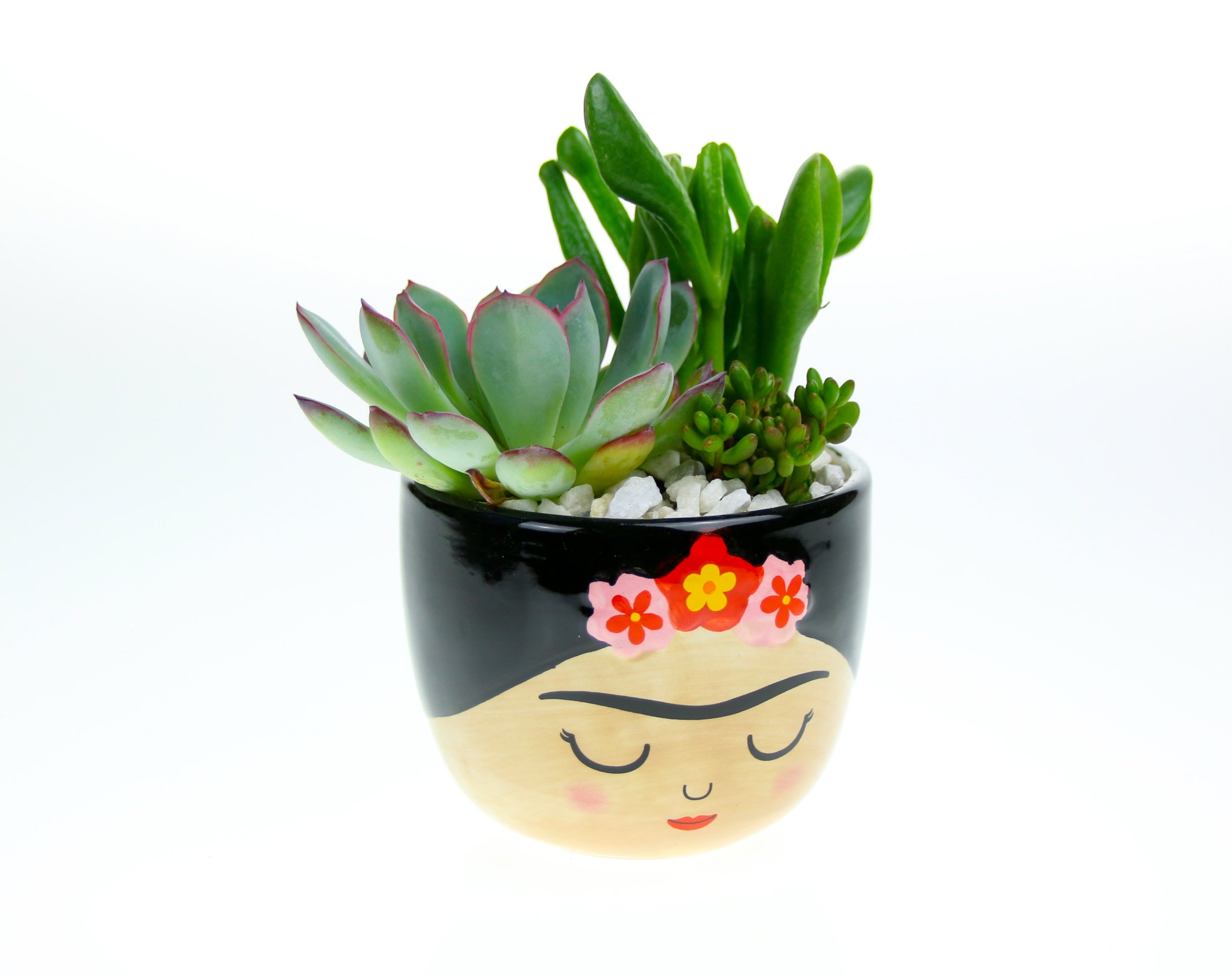 Frida Kahlo Inspired Indoor Planters with Living Succulents, Birthday ...