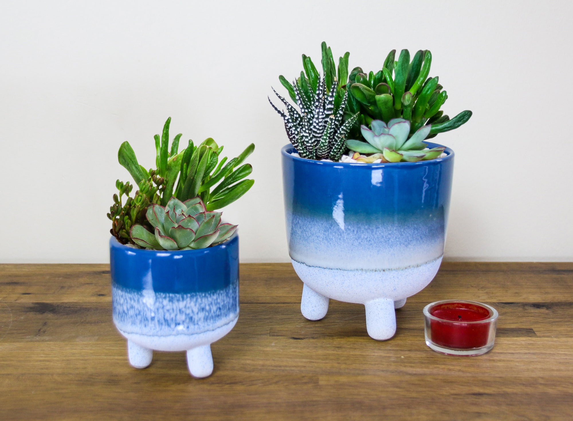 Mojave Glazed Stoneware Planter Pair with Succulent Houseplant Mix ...