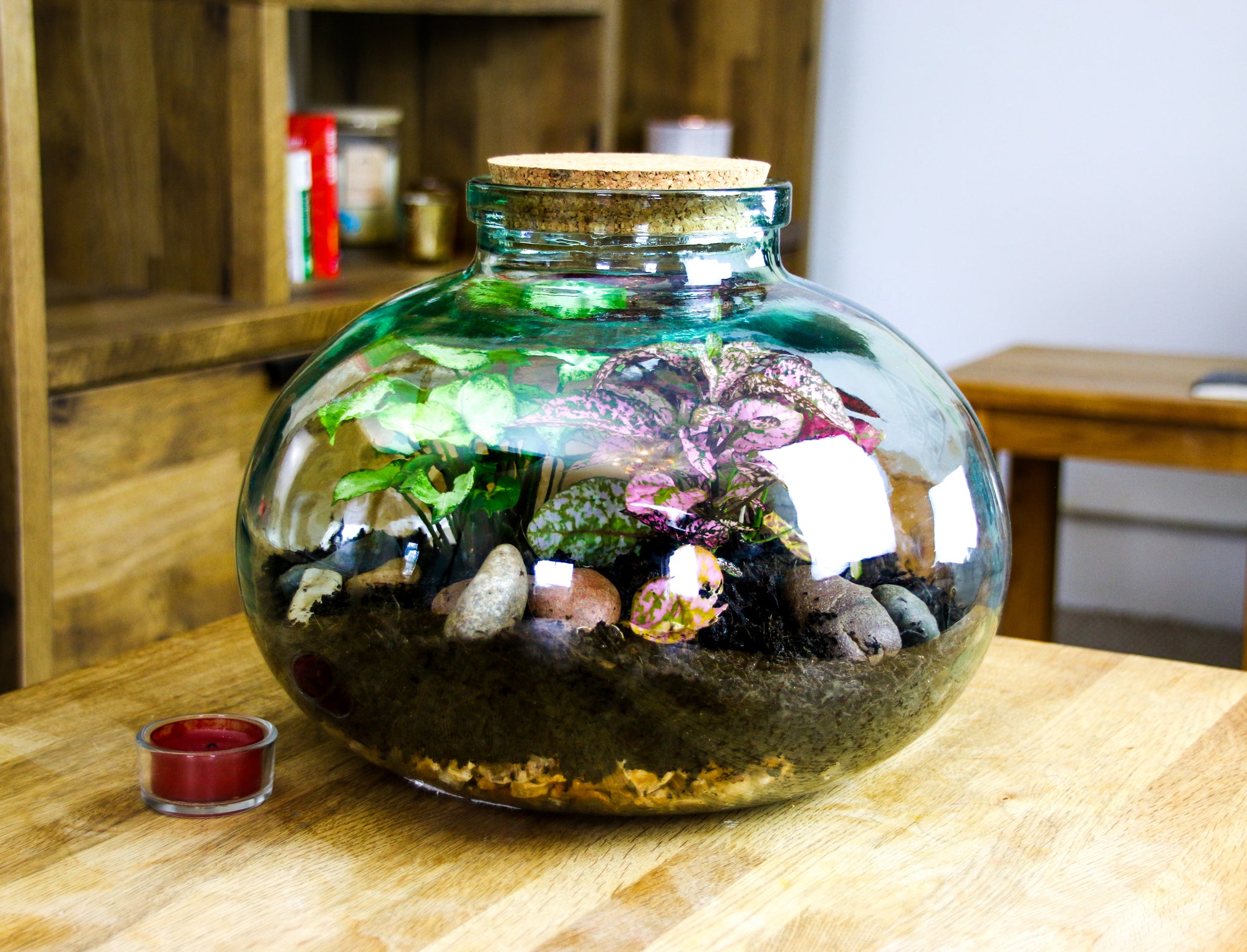 Small Wide Neck Closed Glass Bottle Terrarium 5 litre for indoor plants ...