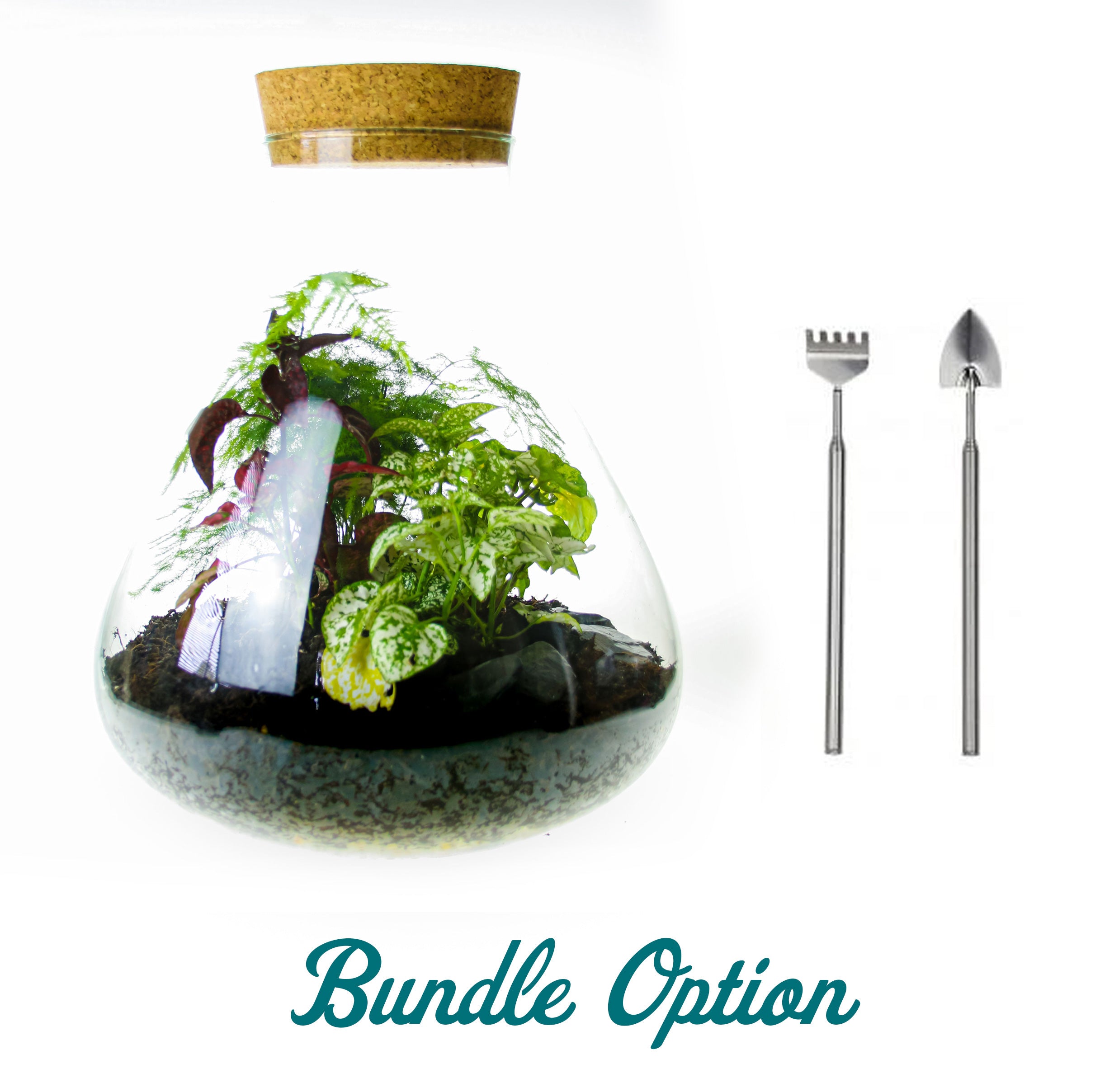 Closed Bottle Terrarium 10 litre in Angular Design for Indoor Ecosystem ...