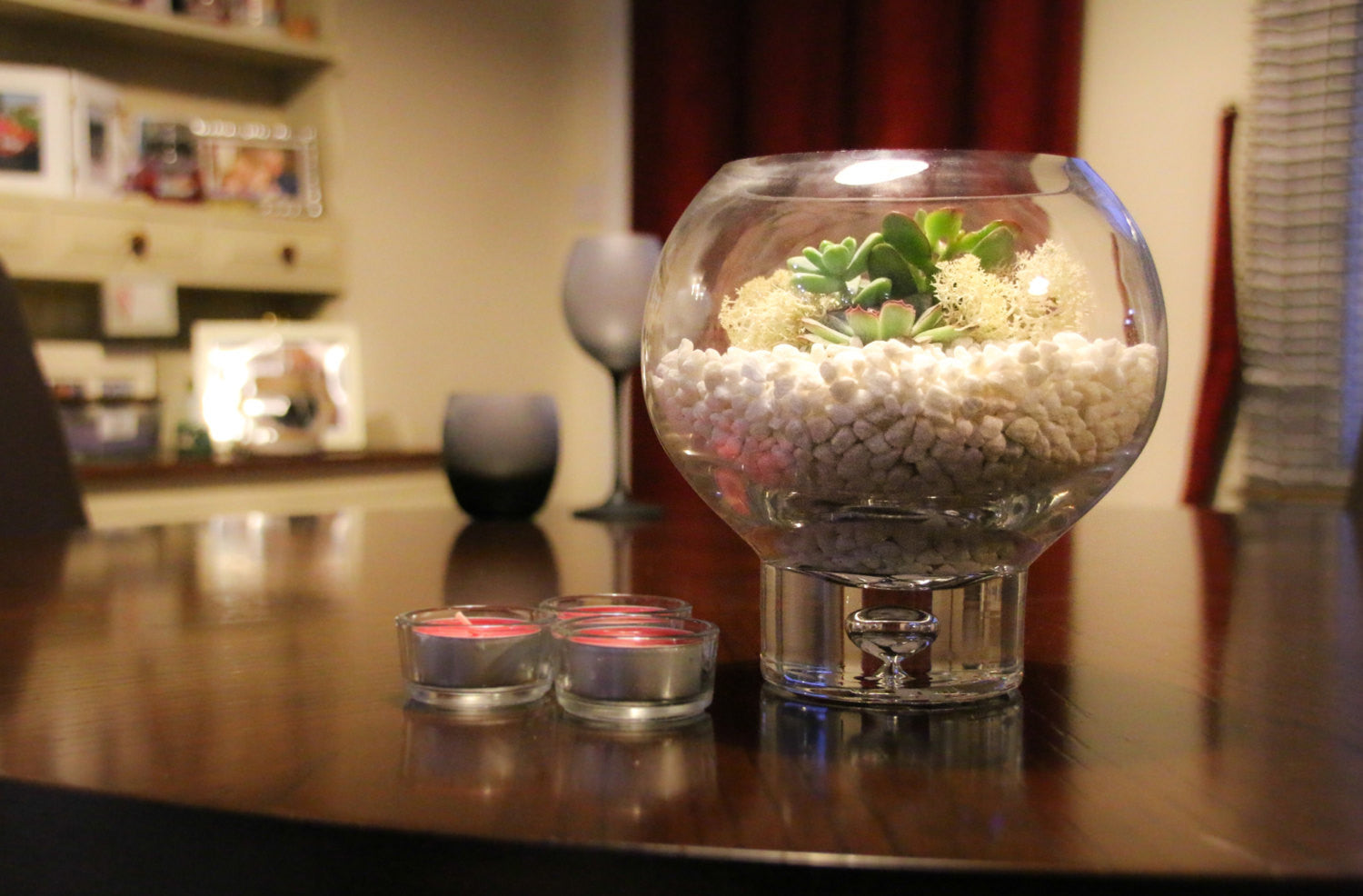 Miniature Glass Sphere DIY Terrarium Kit with living Succulents, – The ...