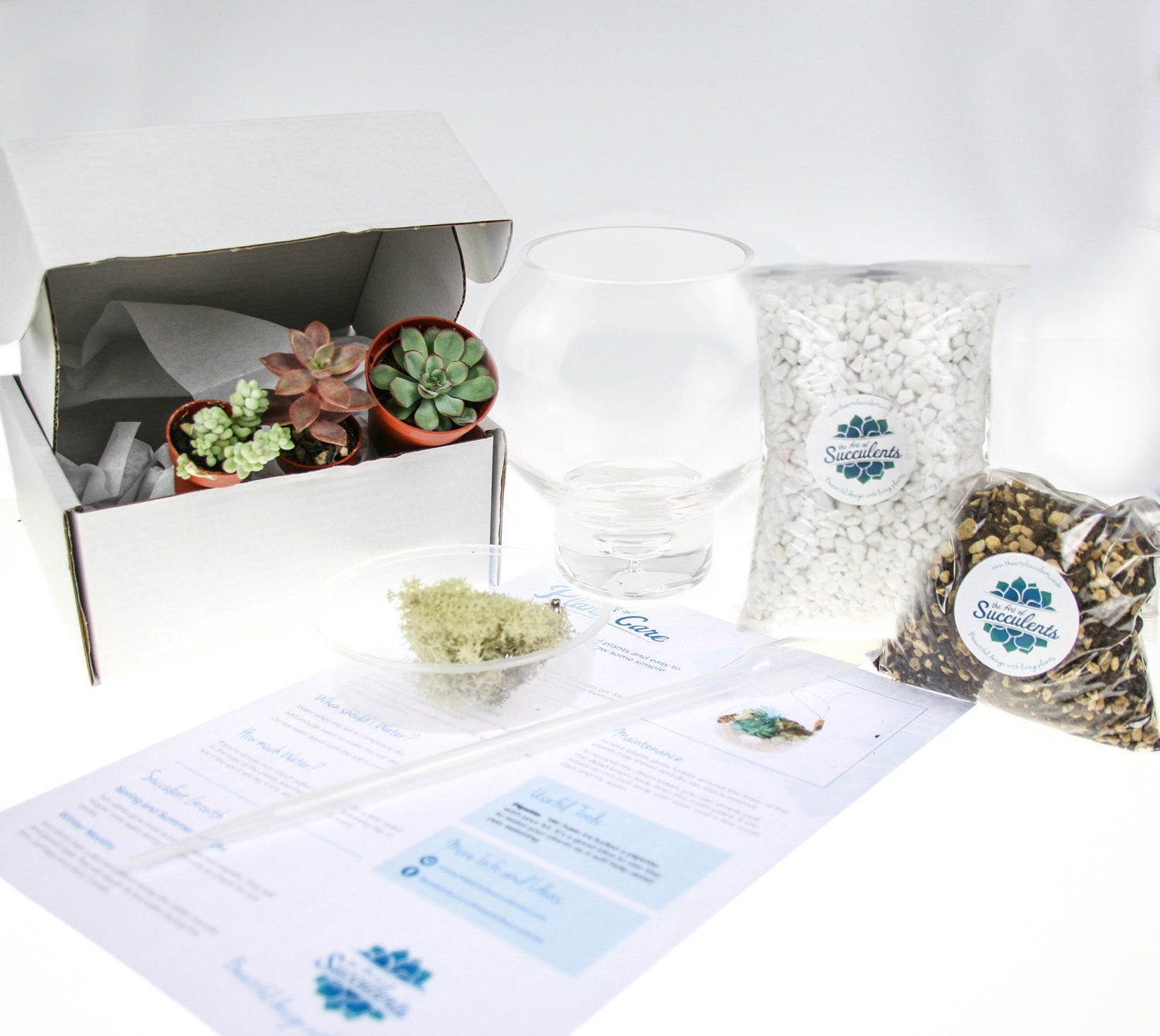 Miniature Glass Sphere DIY Terrarium Kit with living Succulents, – The ...