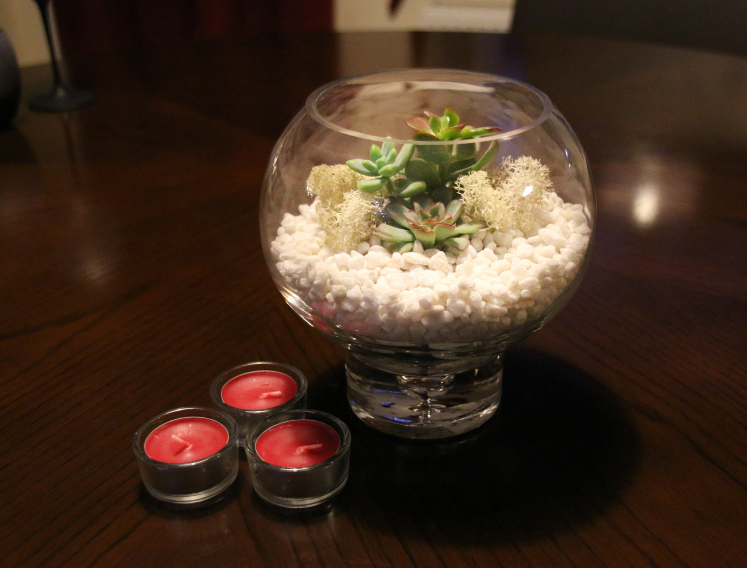 Miniature Glass Sphere DIY Terrarium Kit with living Succulents, – The ...