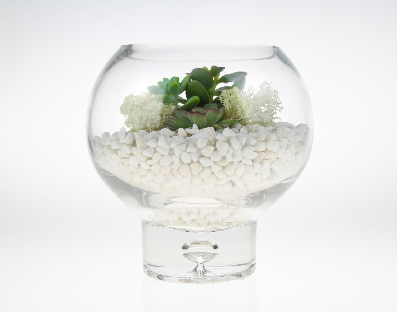 Miniature Glass Sphere DIY Terrarium Kit with living Succulents, – The ...